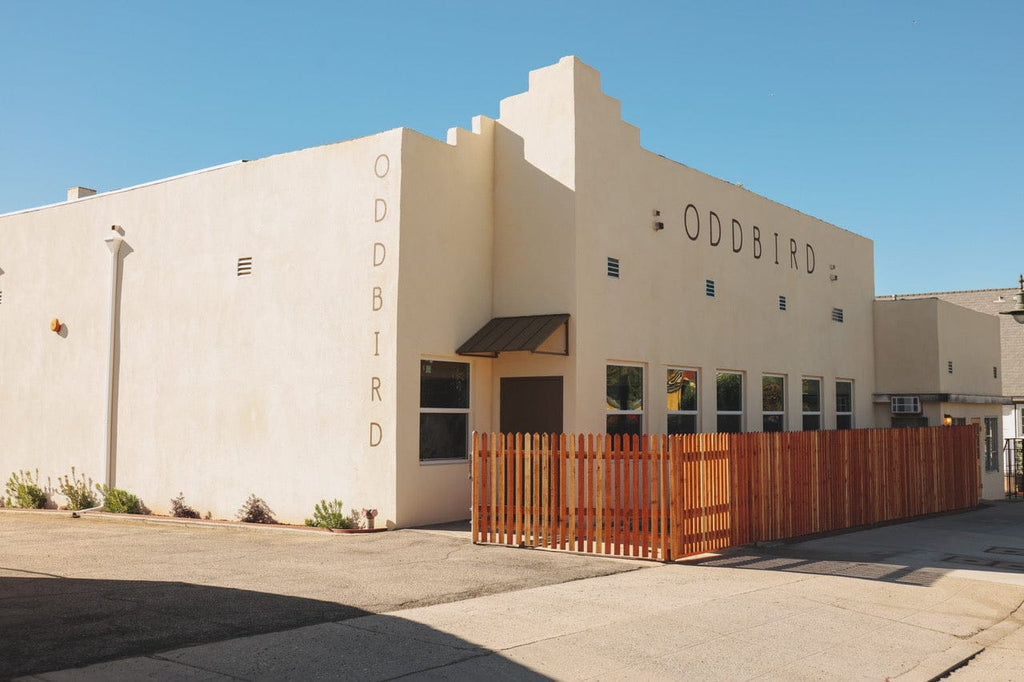 Eagle Rock Store – OddBird Co.